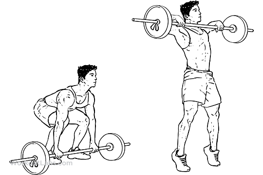 Barbell High Pulls () – Yoga Poses Guide by WorkoutLabs