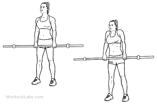 Barbell Shoulder Shrug | Illustrated Exercise guide - WorkoutLabs