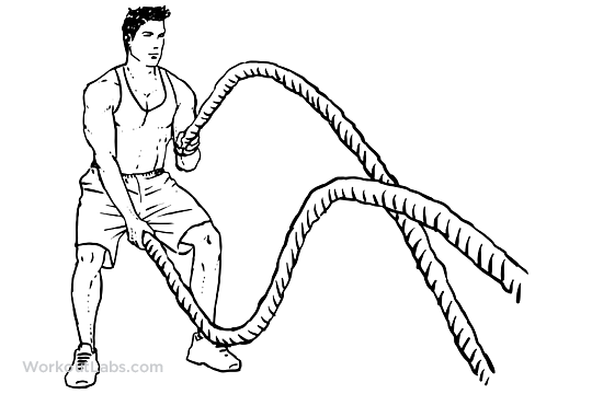 Battle Rope Snakes | WorkoutLabs