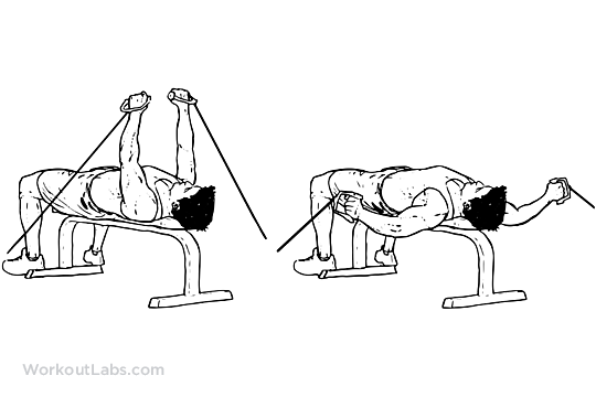 Bench Cable Flyes | WorkoutLabs