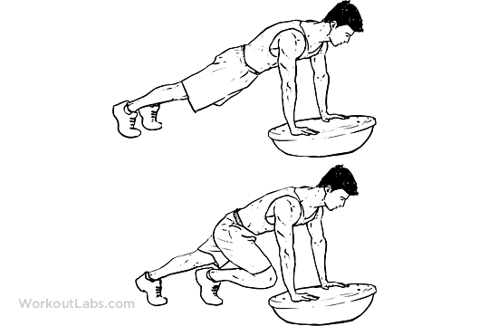 Bosu Ball Mountain Climbers | WorkoutLabs