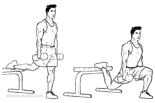 Bulgarian Split Squats | WorkoutLabs