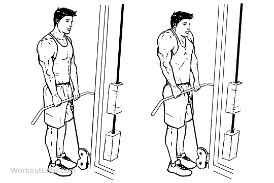 Cable Shrugs | WorkoutLabs