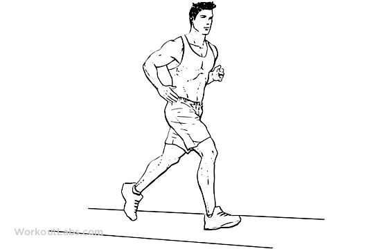 Cardio – Running / Jogging / Treadmill | WorkoutLabs