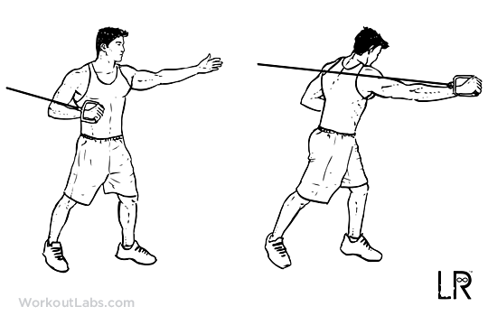 LR: Resistance Band Single-Arm Chest Press | Illustrated Exercise guide ...