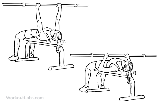 Female Barbell Bench Press