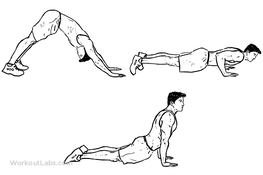 Hindu / Judo Push-up / Dive Bombers | Illustrated Exercise guide ...