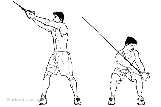 Downward Cable Wood Chops | WorkoutLabs