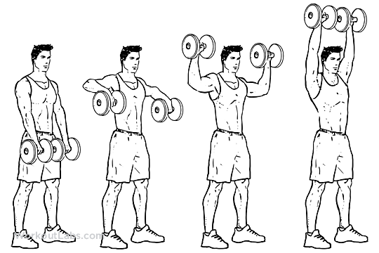 Dumbbell Cuban Press | Illustrated Exercise guide - WorkoutLabs