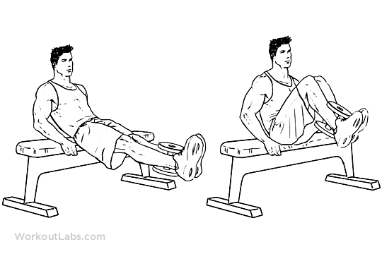 Dumbbell Weighted Leg Pull-Ins | WorkoutLabs