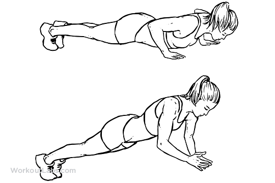 Dynamic Clap Push-up | Illustrated Exercise guide - WorkoutLabs