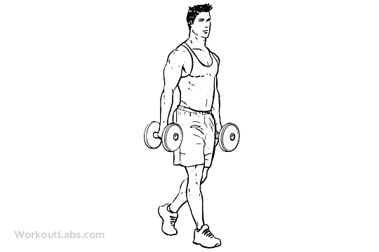 Farmer’s Walk / Carry | WorkoutLabs