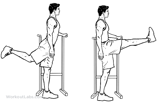 Forward Leg Hip Swings | Illustrated Exercise guide - WorkoutLabs