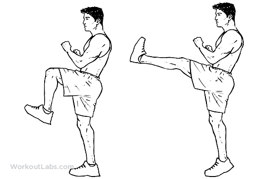 Front Kicks | Illustrated Exercise guide - WorkoutLabs