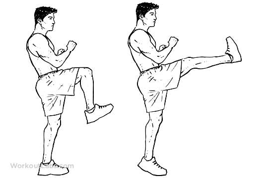 Front Kicks | WorkoutLabs