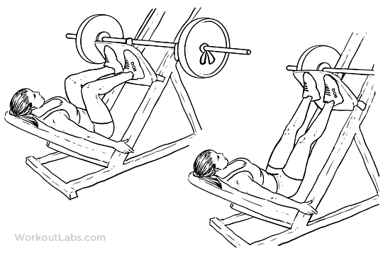 Leg Press / Machine Squat Press | Illustrated Exercise guide - WorkoutLabs