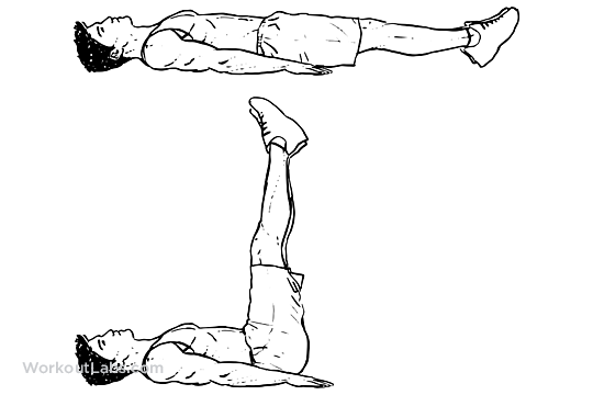 Lying Leg Raises / Lifts | WorkoutLabs