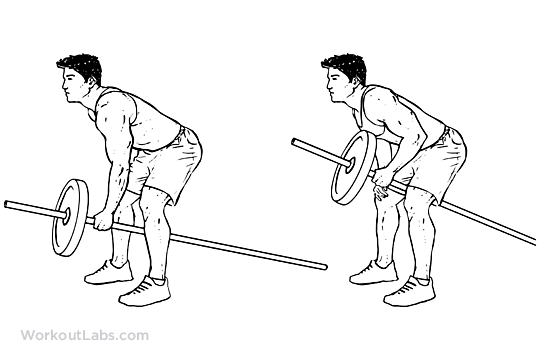 One Arm Barbell Rows | WorkoutLabs