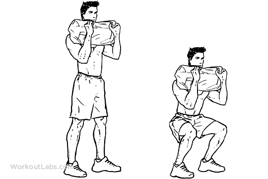 Powerbag / Sandbag Squats | WorkoutLabs