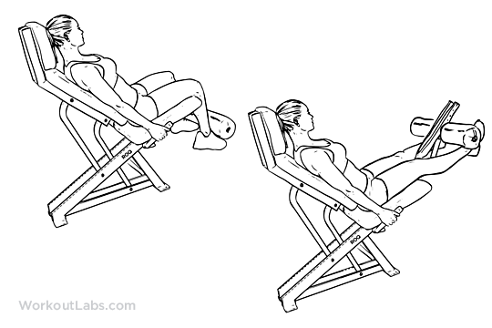 Seated Machine Leg Extensions | Illustrated Exercise guide - WorkoutLabs