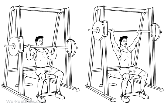 Smith Machine Shoulder Press | WorkoutLabs