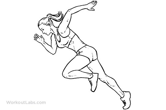 Cardio – Sprints | WorkoutLabs