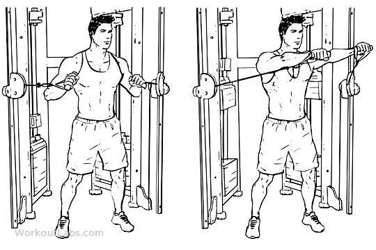 Standing Cable Chest Press | WorkoutLabs