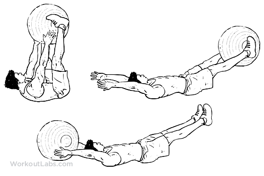 Swiss Ball Hand Off / V-Pass | WorkoutLabs