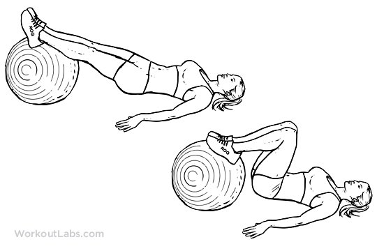 Swiss Ball Leg Curl / Hip Raise to Hamstring Curl | Illustrated ...