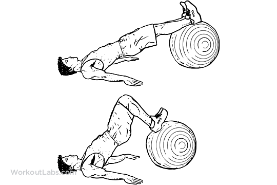 Stability / Swiss / Exercise Ball Hamstring Leg Curl / Hip Raise ...