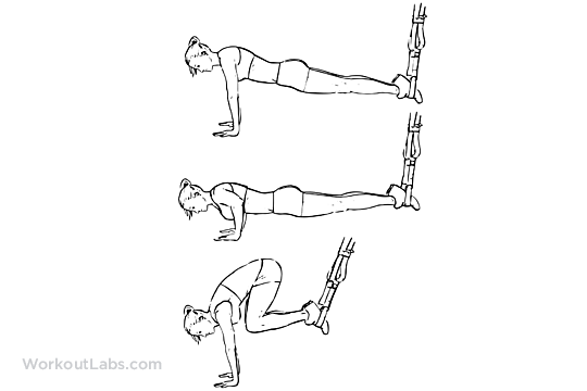 TRX Suspension Straps Atomic Push-up | Illustrated Exercise guide ...