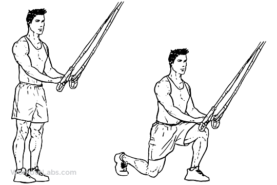 TRX Reverse Lunges / Lunges | WorkoutLabs