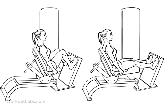Leg Press Exercise Diagram